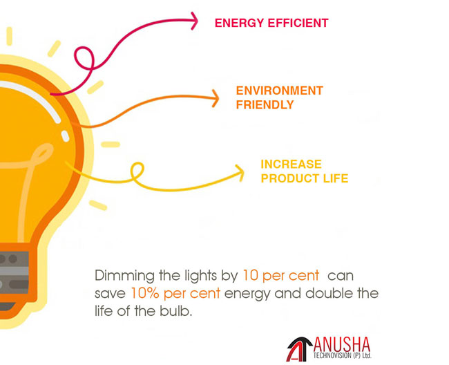 Quantum Light Management Ltd at Savannah Buckmaster blog